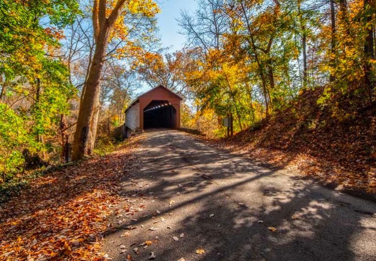 Area Attractions and Services – Shrine Mont